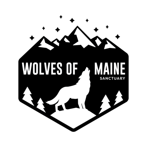 Wolves of Maine Sanctuary – Wolf Sanctuary in Maine